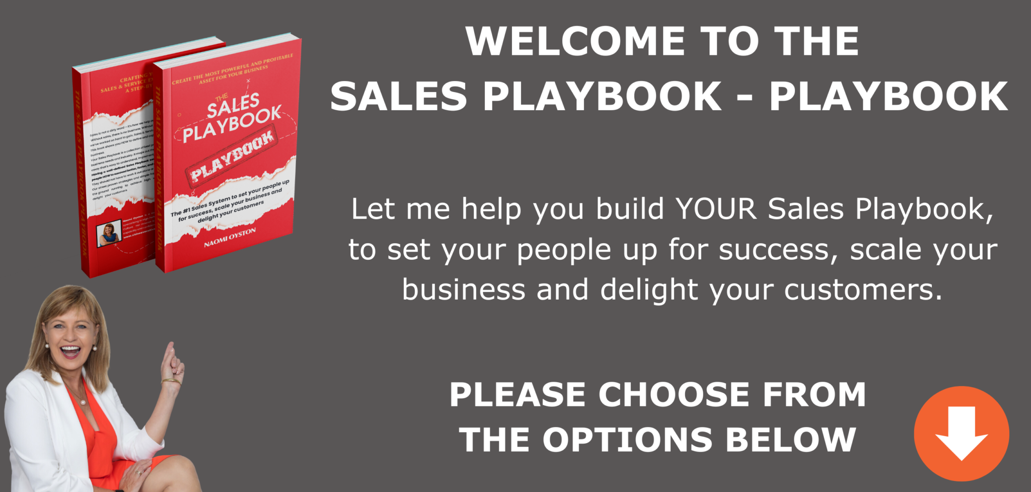 DRAFT SALES PLAYBOOK LANDING PAGE - SHINE Executive